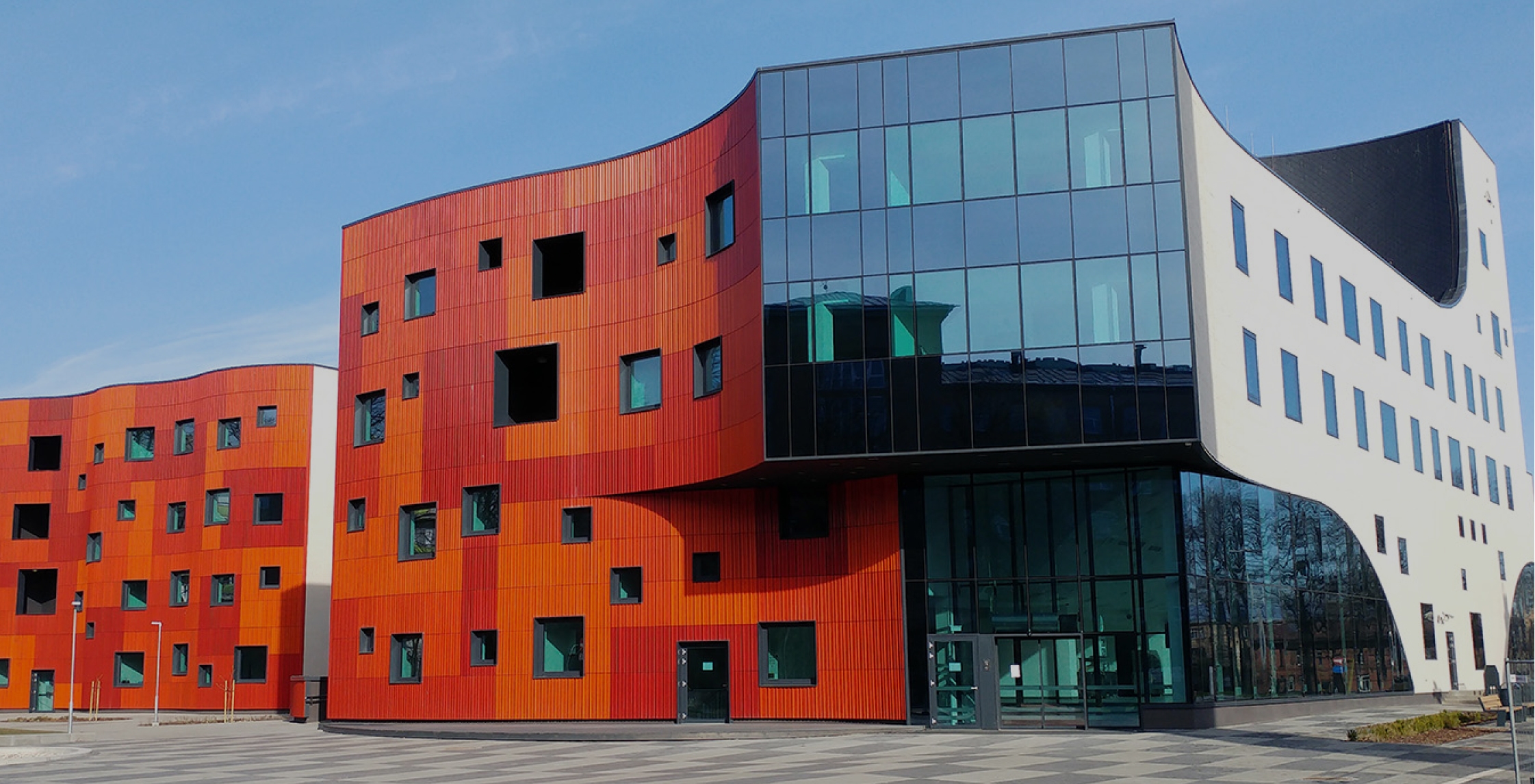 Which Course Is Best After MBBS Your Career Path FutureMBBS